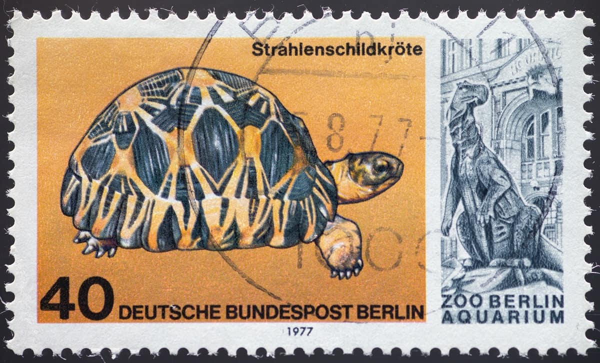10 Rare And Most Valuable Stamps From Germany: Please, Stay Away From ...