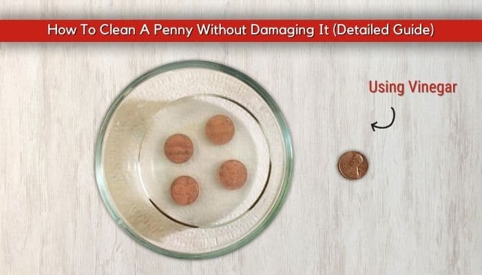 How To Clean A Penny Without Damaging It (Detailed Guide)