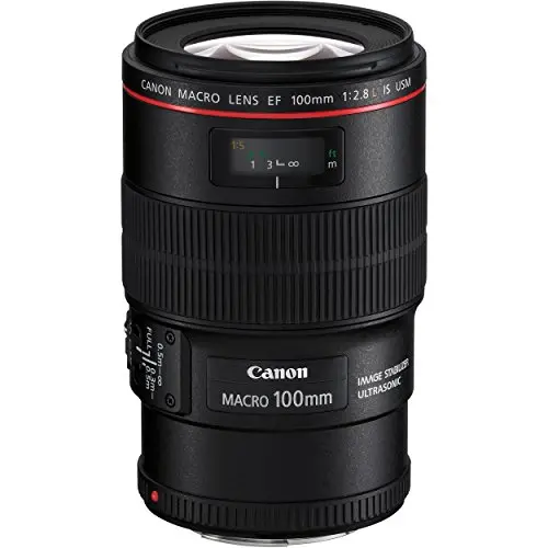 Best Lens For Macro Photography Canon - 2026 Reviews - VIP Art Fair
