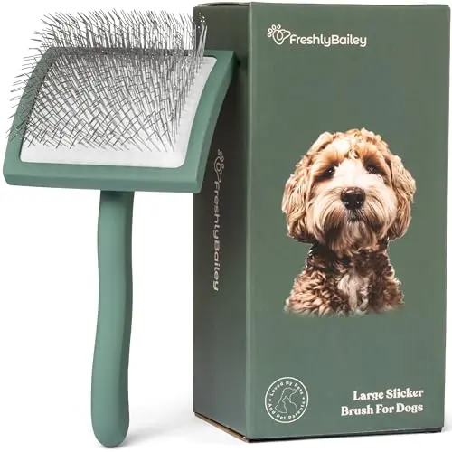 Best Brush For A Labradoodle - 2026 Reviews - VIP Art Fair