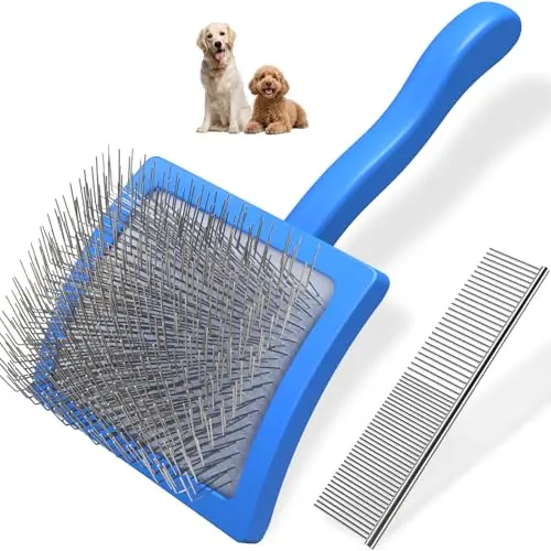 Best Brush For Bichon Frise - 2026 Reviews - VIP Art Fair